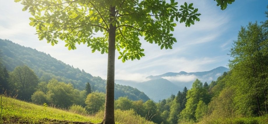 Growing Daily in Christ: Steps to Spiritual Growth and Maturity